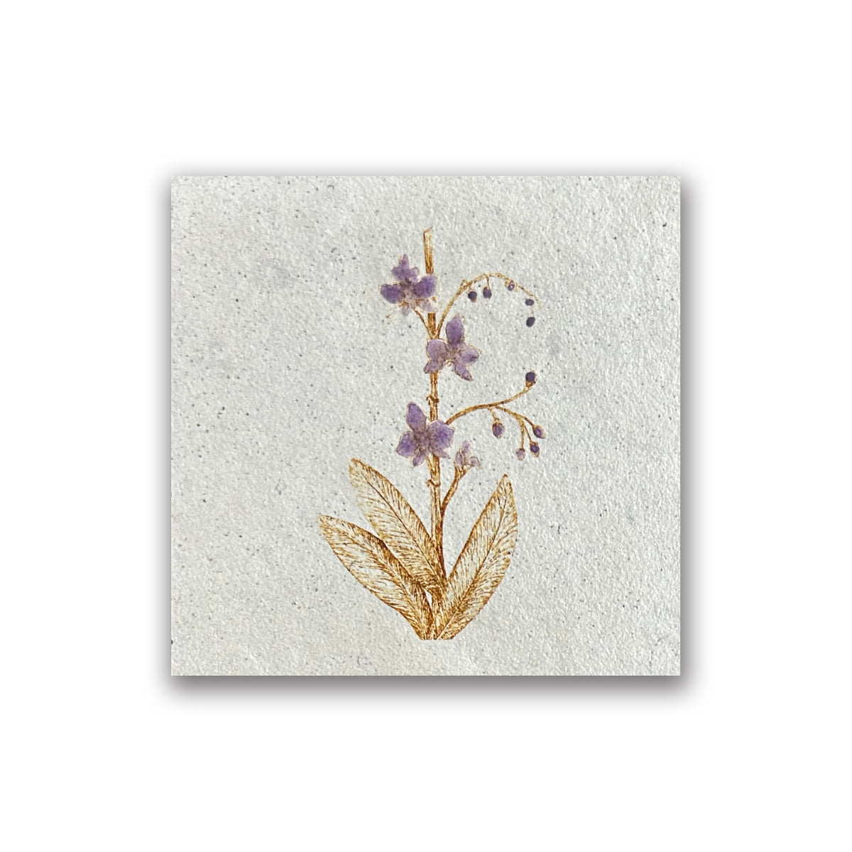 Orchid | Art Tile — Art of the Tile